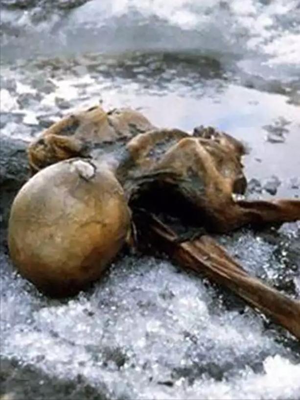5,000-year-old "Otzi the Iceman" discovered in the Alps, expert autopsy ...