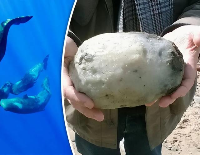 35 fishermen got 127 kilograms of whale excrement, worth nearly 10 ...