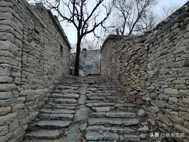 "Original" Wang Qingji: Strange, Ingenious, Interesting Selections (37 ...