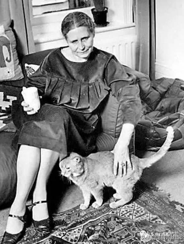 Doris Lessing's views on western culture from the intention of "dog" in ...