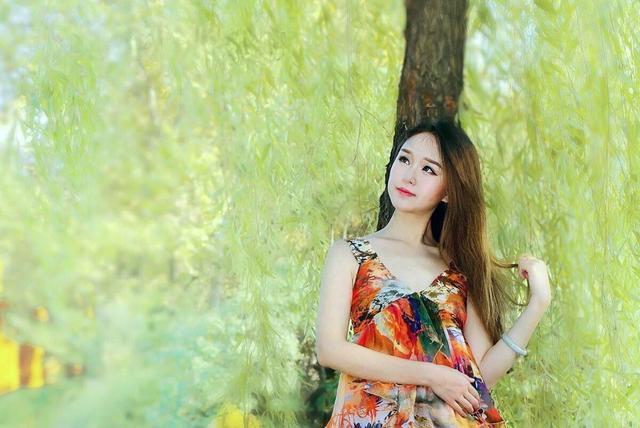 Cloud Crossing Qinling Mountains Qiao Junling Li Wanjin Yao Changying ...