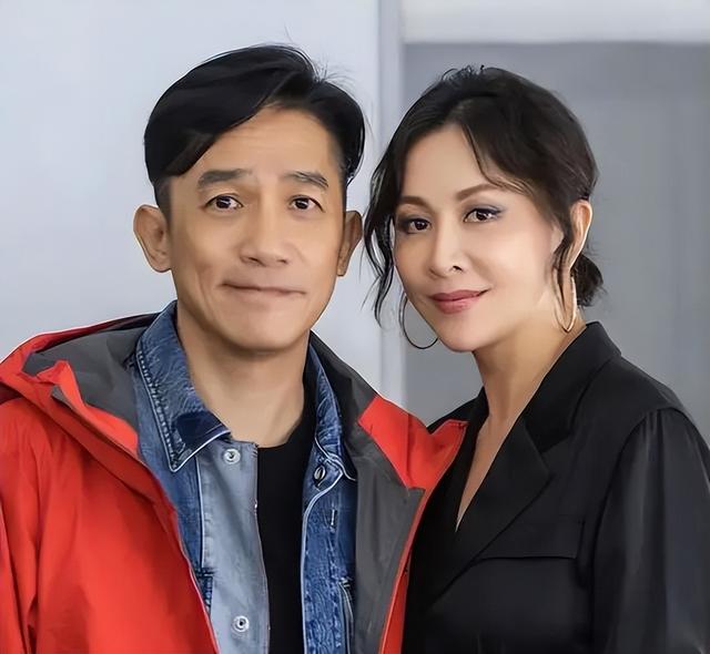 6 families want DINK stars, 5 families are still insisting, and 1 ...