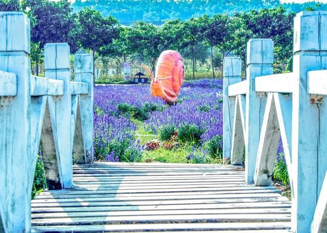 Huayu Lake, a place to enjoy flowers - iNEWS