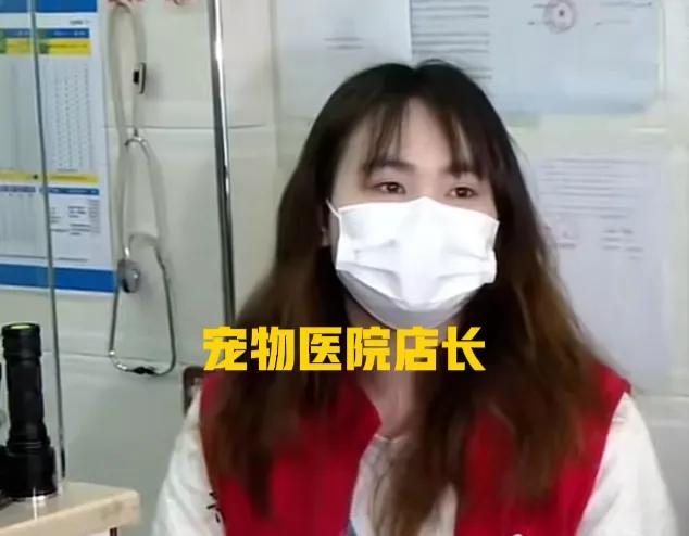 Hunan: The dog died suddenly in the pet hospital, the hospital: You can ...