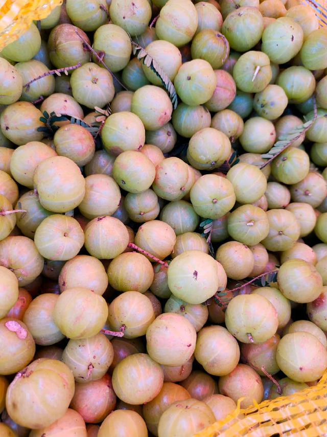 Interesting, fruit that will return - iNEWS