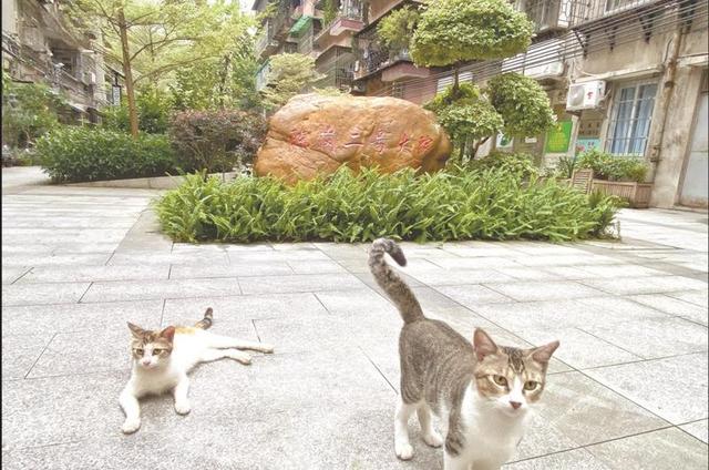 This bacteria is horrible!The skin of two "shit shovelers" in Guangzhou ...