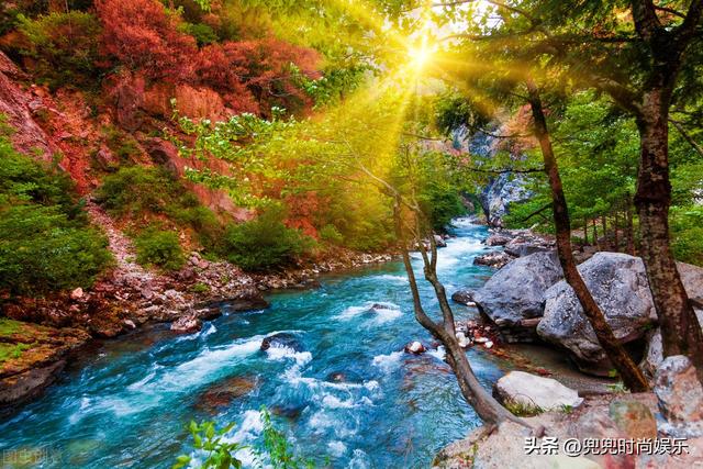 love forever pine - iNEWS