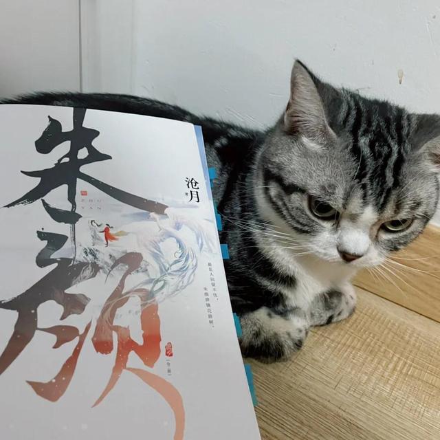 "Zhu Yan" - those fates that have long been written on the stars cannot ...