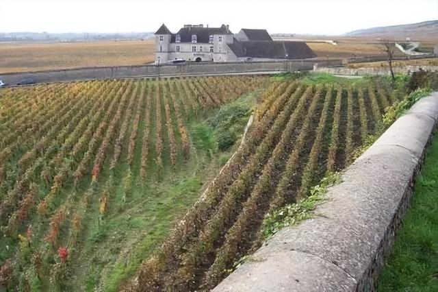How to Read the "Identity" of Burgundy Wines - Classification of ...