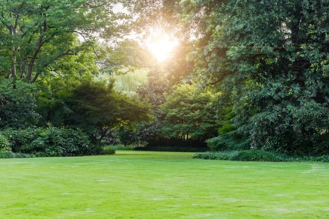 Lixia health - iNEWS