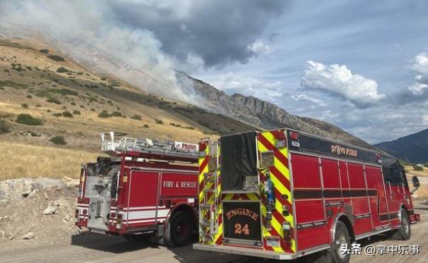 Burning spiders with fire, unexpectedly burned for 20 hours, causing ...