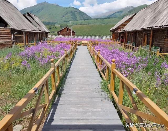 The most beautiful Hemu Village - iNEWS