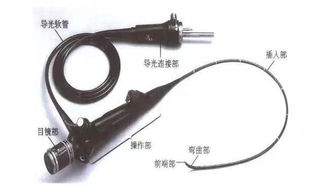 What are the functions of fiberoptic bronchoscopy in and outside the ...