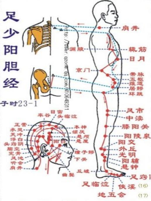 "Compilation of Meridians" Foot Shaoyang Gallbladder Meridian (a total ...