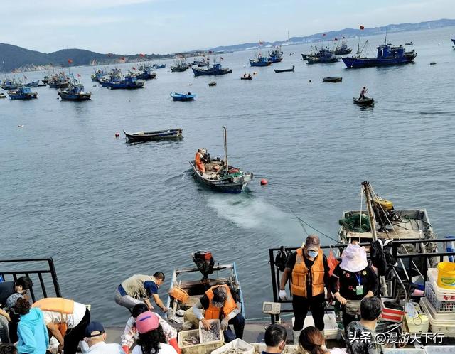 Visit Haiyuan Park, see the seafood wharf in Weihai, and learn about ...