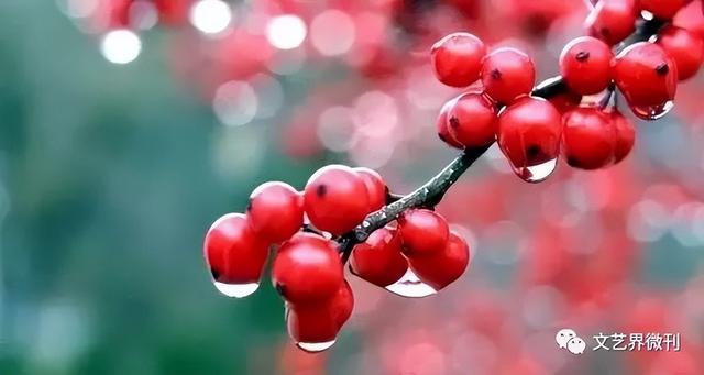 Overnight in Hongdou Village - iNEWS