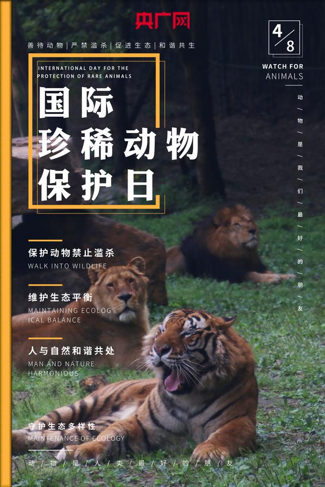 International Day for the Protection of Rare Animals - iNEWS