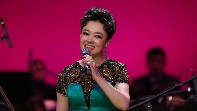 An analysis of the advantages and disadvantages of singer Wang ...