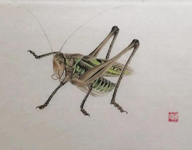 Diagnosis and treatment of non-ST segment elevation acute coronary ...