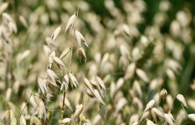 "Nature/Nat Genetics" study reveals the molecular mechanism of eating ...