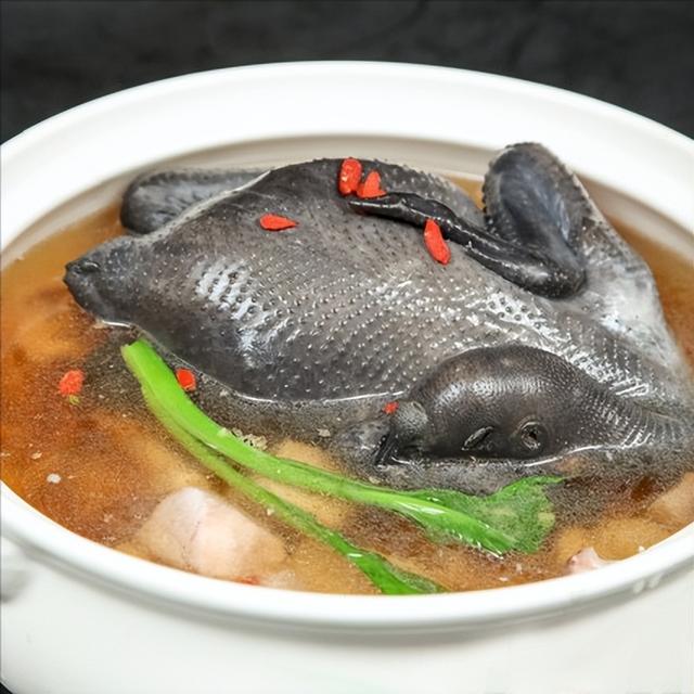 Delicious and nourishing black-bone chicken soup—care for your skin and ...