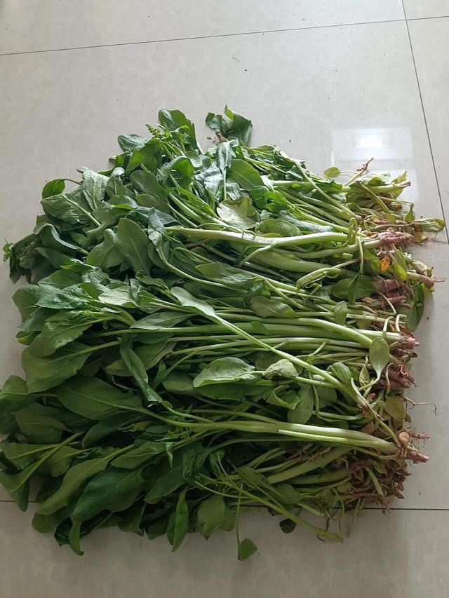 How to eat spinach, will it be more reasonable? - iNEWS