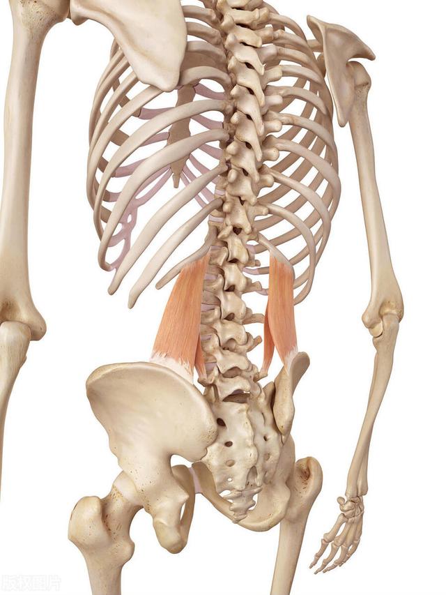 Lumbar disc surgery is not once and for all, remember! - iNEWS