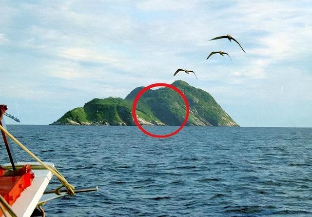 There are 5 snakes per square meter on Snake Island in Brazil. The ...