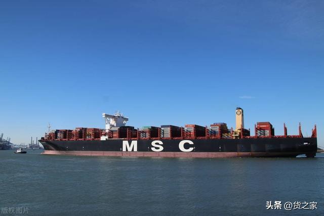 MSC upgrades and relaunches stand-alone services, expands shipping ...