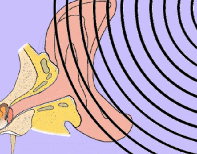 "Partying" in the ears?What to do about throbbing tinnitus? - iNEWS