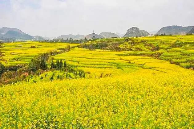 Spring Scenery. Spring Love (Three Songs) [Original]. Seven Words - iNEWS