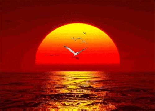 Sleep is the moon, wake up and see the sun - iNEWS