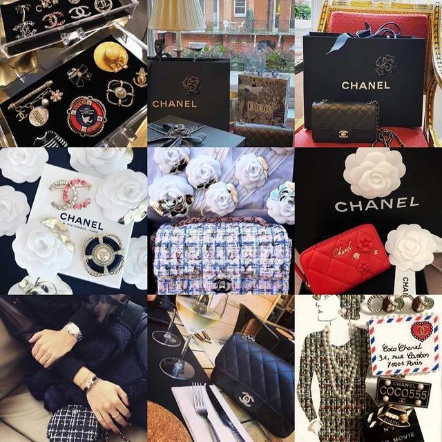 Chanel loves camellia, who will be the protagonist of the next classic ...