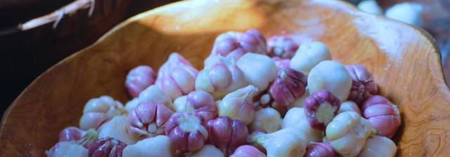 Sweet and sour garlic, a "traditional" food in the north, these 4 steps ...