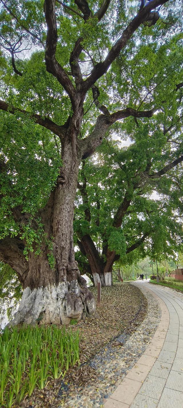 Treasures along the Gan River - iNEWS