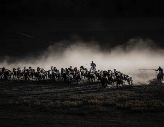 Majestic Frontier Poems (2) - iNEWS