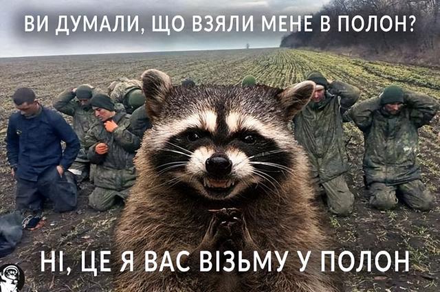 Even the raccoons are taken away, leaving only ruins in Kherson, the ...
