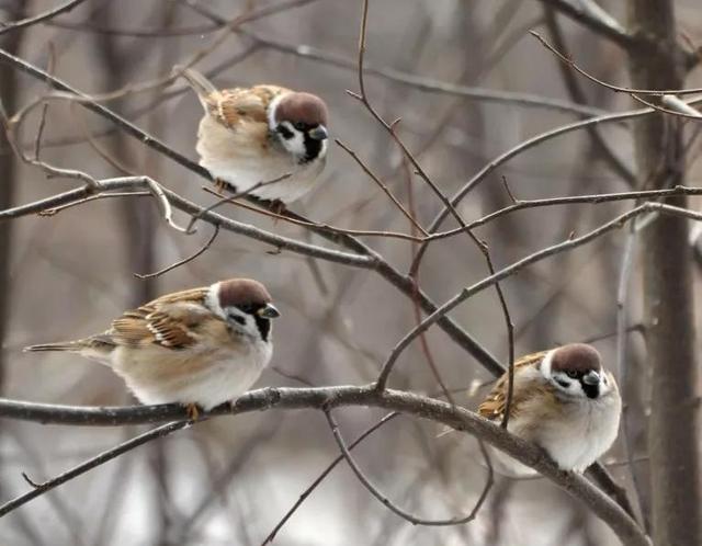 A group of cute foraging children are here! - iNEWS