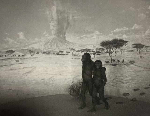 Who was the first human to make tools? - iNEWS