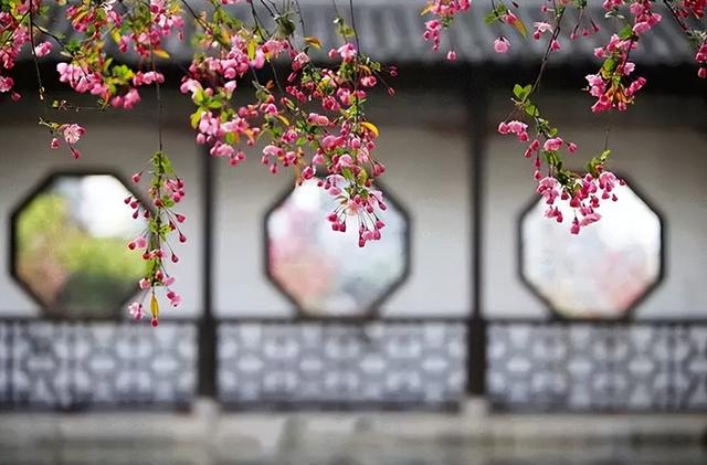 Spring is suitable for spring sleep, poems about spring sleep, sleep ...