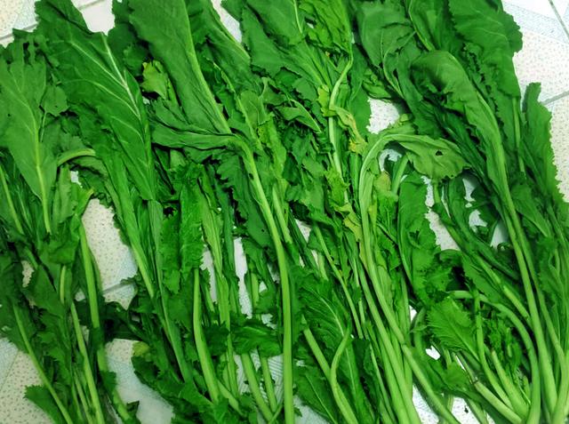 Taste is life, potherb mustard, pickles and steamed buns are delicious ...