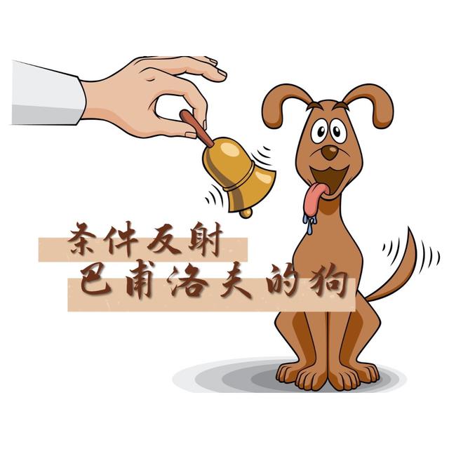 What was Pavlov's dog experiment? A study of the phenomenon of learned ...