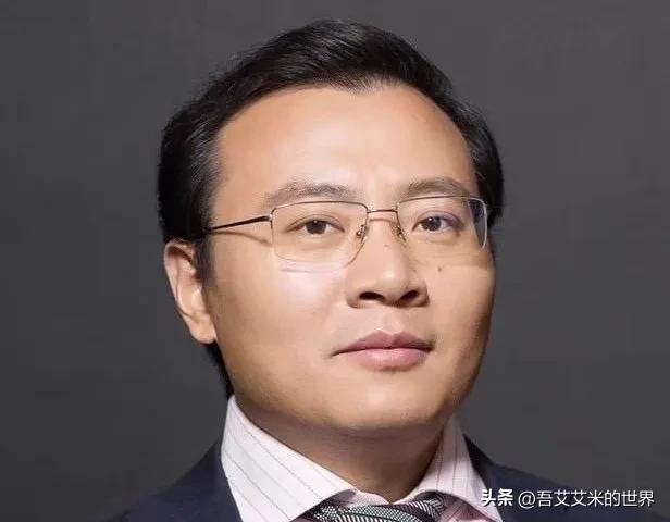 Questions and Answers for Little People at the Bottom 2: Does "Economist" Ren Zeping want the ...