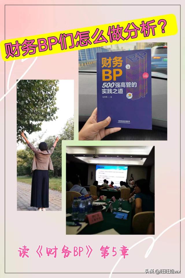 How do financial BPs do analysis? - iNEWS