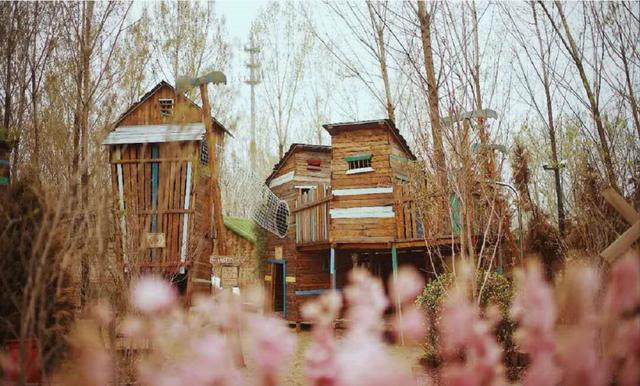 3 types of models and 5 products available in Parent-child Farm - iNEWS