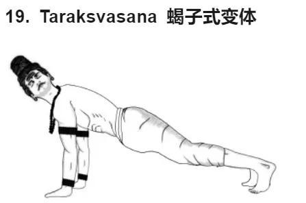 19. Taraksvasana Scorpion Variation - iNEWS