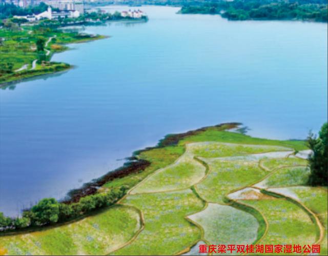 "International Wetland City" Liang Ping's ecological code - iNEWS
