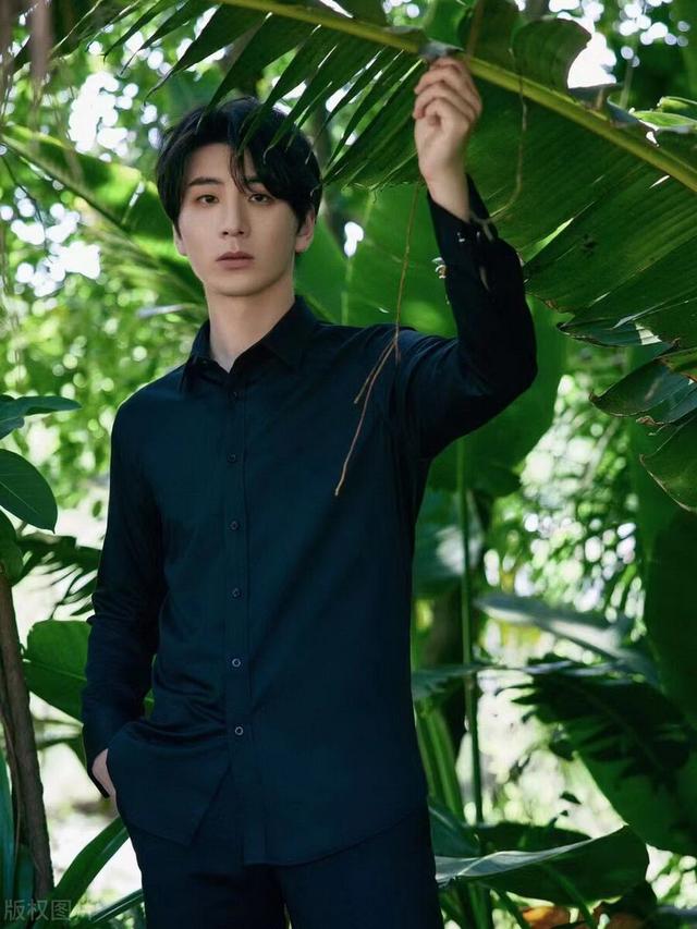 Cai Chengyu's mature and handsome - iNEWS