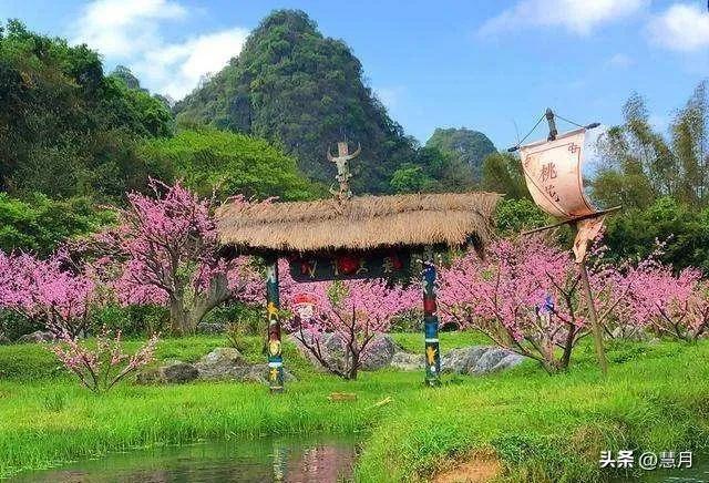 尋覓中的淨土 - 資訊咖