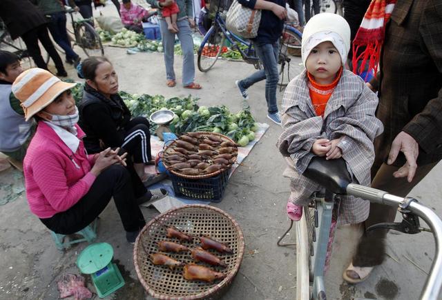 Chinese people feel guilty when they look at rat meat. Why do ...